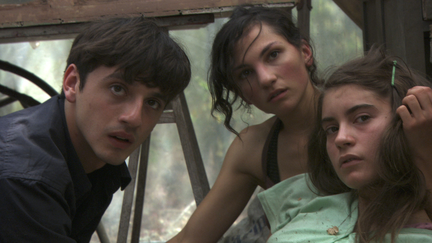 Young & Wild (2012) - MUBI