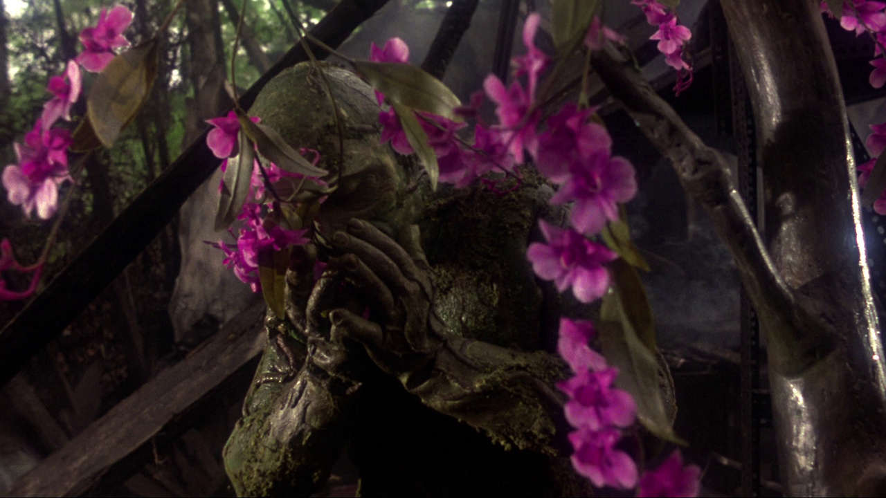 Wes Craven’s Swamp Thing (1982) – THIS IS NOT A BLOG