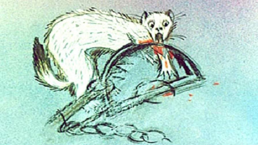 Frédéric Back – Movies, Bio and Lists on MUBI