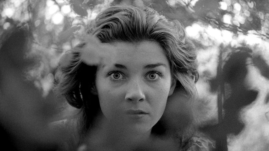 Virginia Leith – Movies, Bio and Lists on MUBI